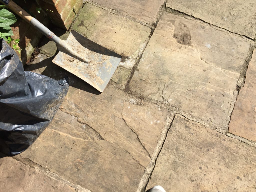 IMG_0356 — JET WASH DRIVES LTD